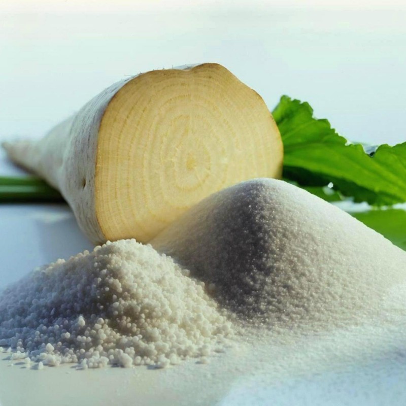 Semillas de remolacha azucarera Authority | 1,75 € 🌳🌼🌸🌿🌱