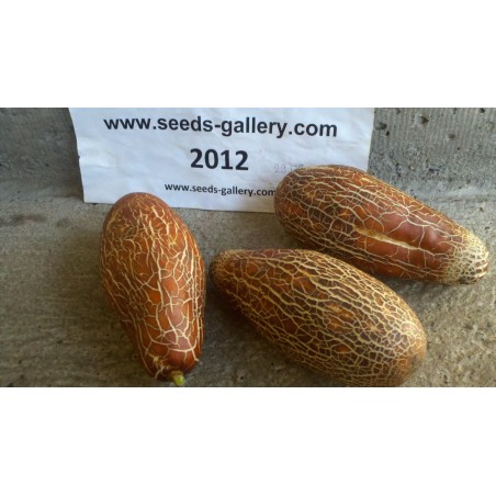 Price: €1.55 - Sikkim Cucumber Seeds