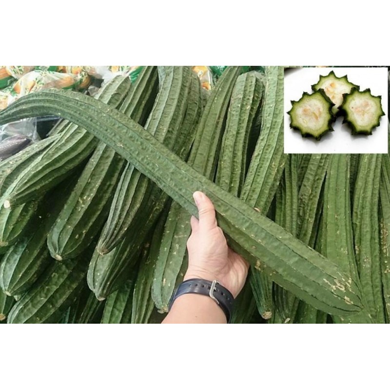 Angled luffa, Ridged luffa Seeds (Luffa acutangula) - Preț: €1.95