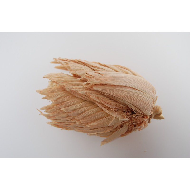 POD Kukuruz Seme (Zea mays, var. tunicata) | 1,95 € 🌳🌼🌸🌿🌱🍉