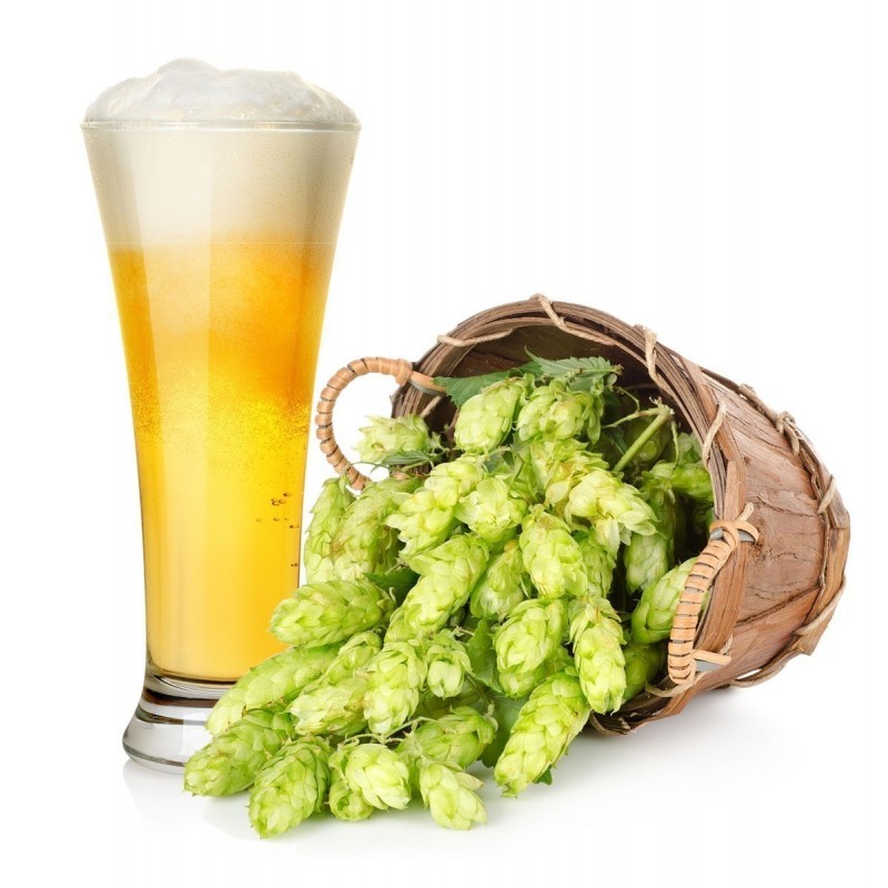 Prix : €1.85 - Graines de Houblon (Humulus lupulus)