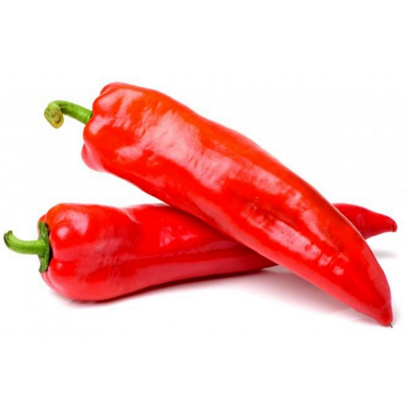Preis: €1.65 - MARCONI RED - ROT Paprika Samen
