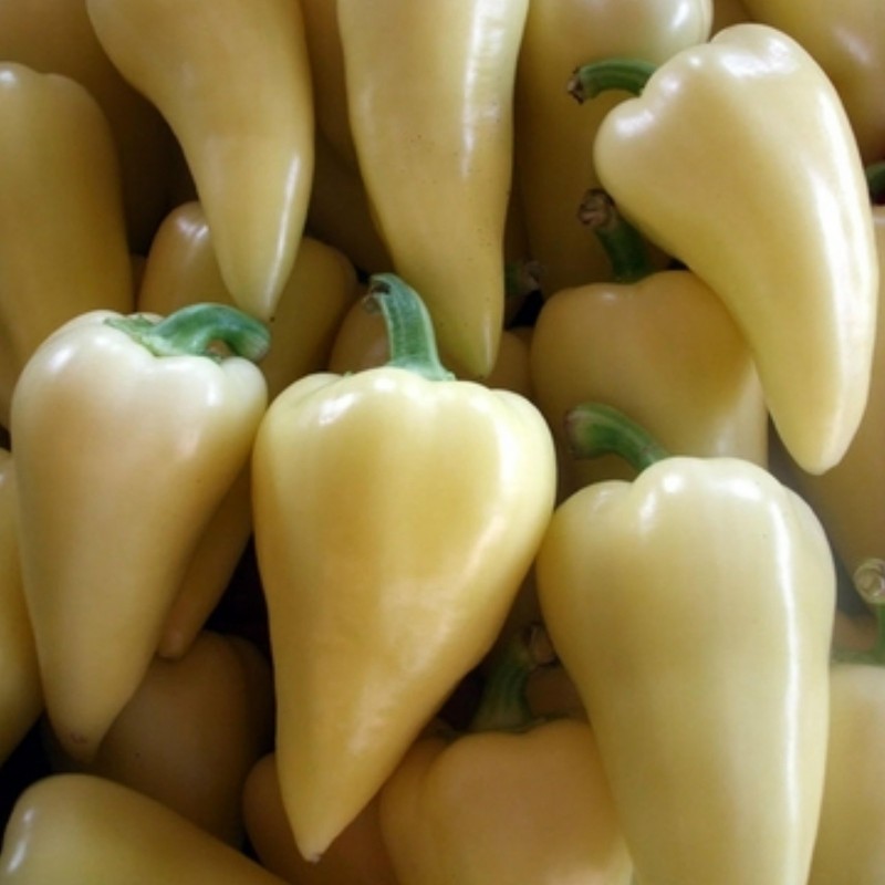 بذور الفلفل الحار Javitott Bogyiszloi - السعر €1.85