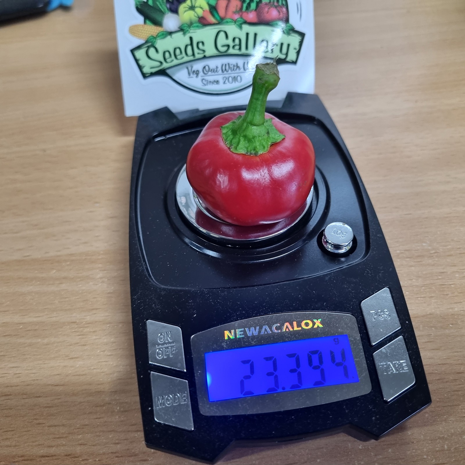 Large Red Cherry Chili Seeds | €1.65 🌳🌼🌸🌿🌱🍉