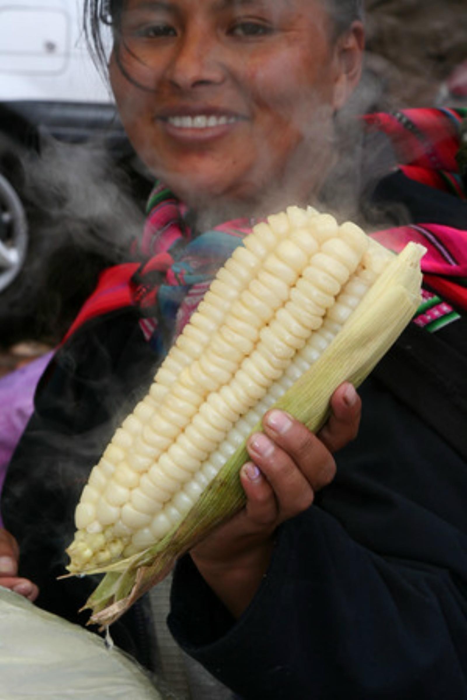 Worlds Largest Giant Corn Seeds Cuzco - Cusco | €2.25 🌳🌼🌸🌿🌱🍉