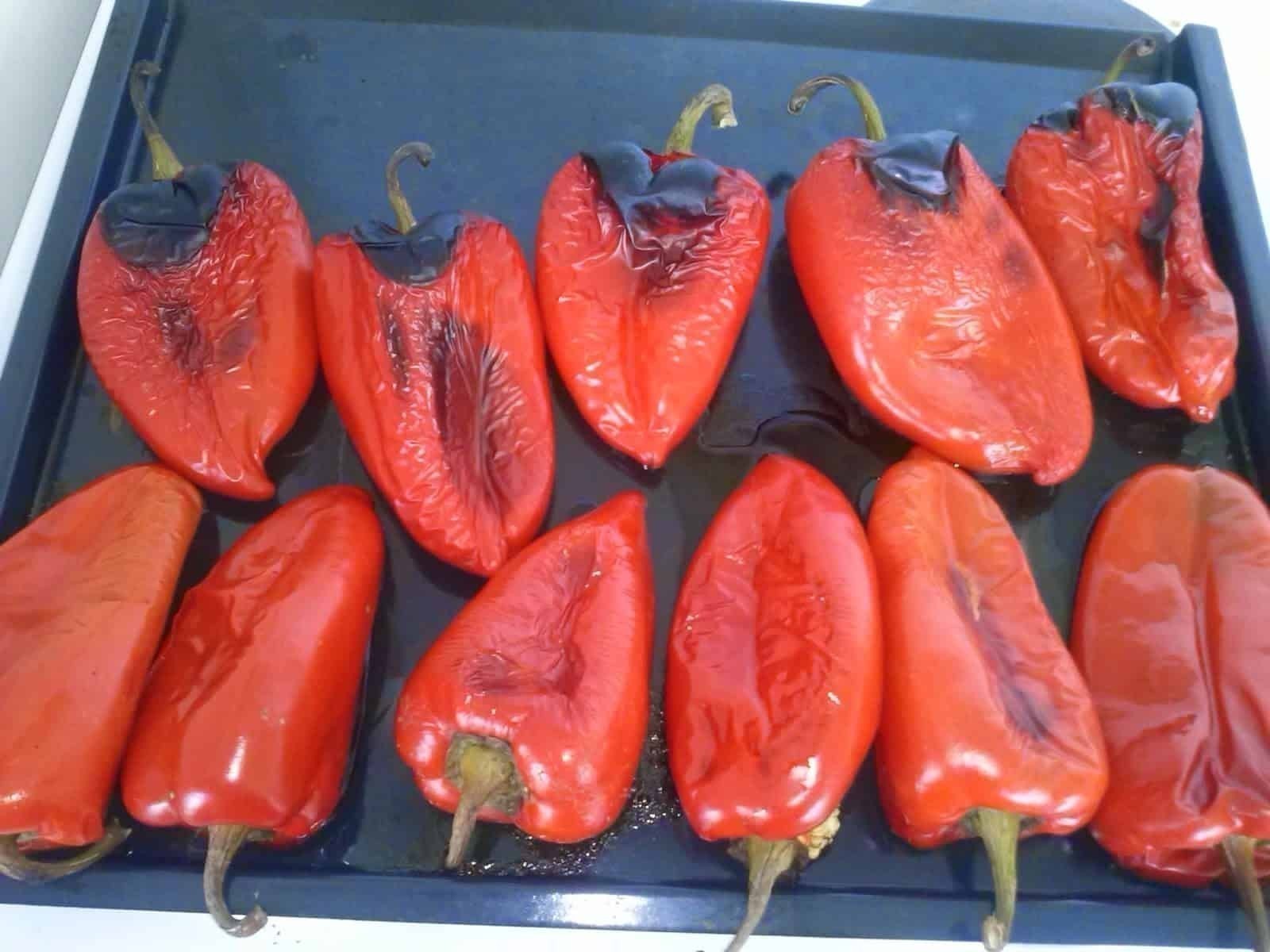 1100+ Seeds Giant Sweet Pepper Elephant's Ear | €30.00 🌳🌼🌸🌿🌱🍉