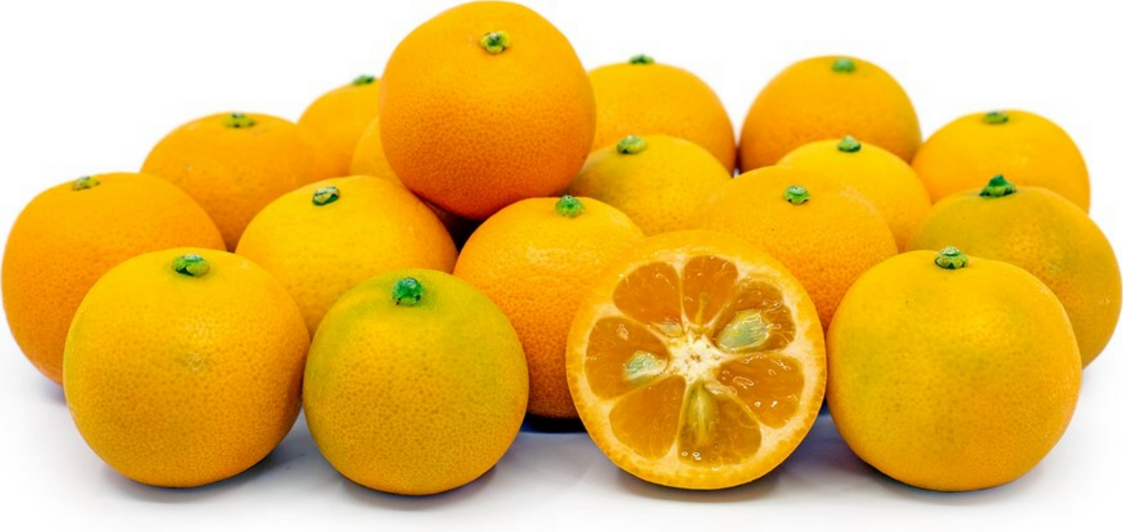 Pris: €4.95 - Kalamondin Frön (Citrofortunella microcarpa)