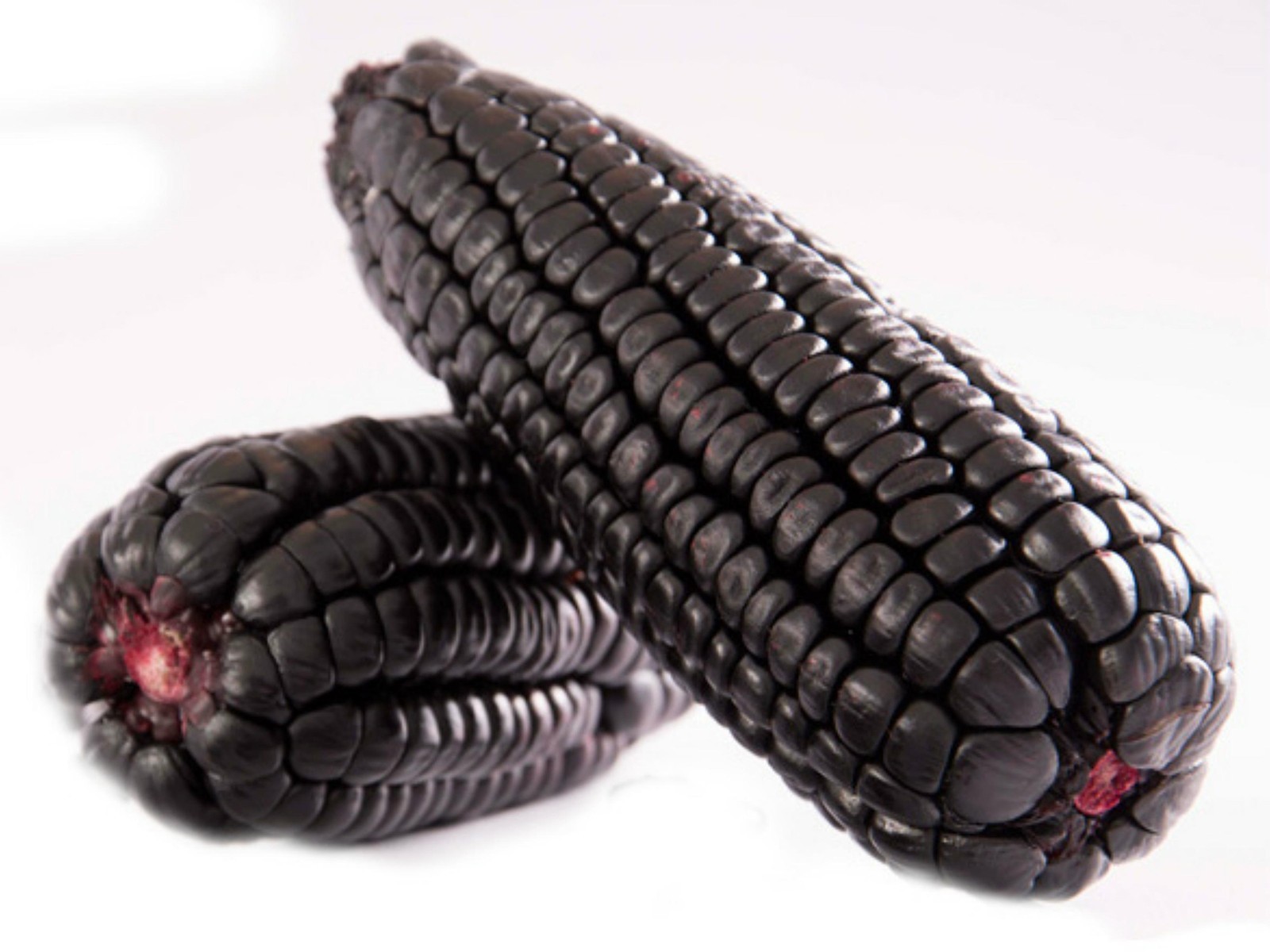 Purple Corn Seeds - Maíz Morado "Kculli" 🌳🌼🌸🌿🌱🍉